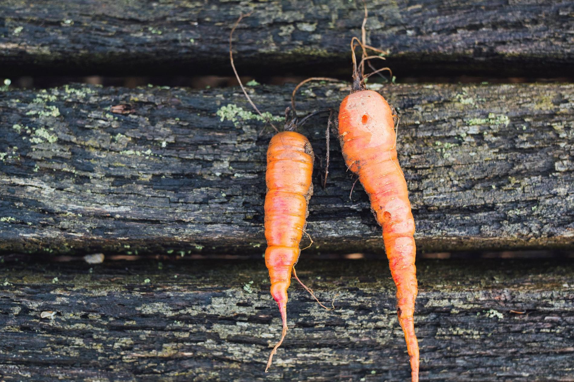 Belonen: the carrot, not the stick - via HR community